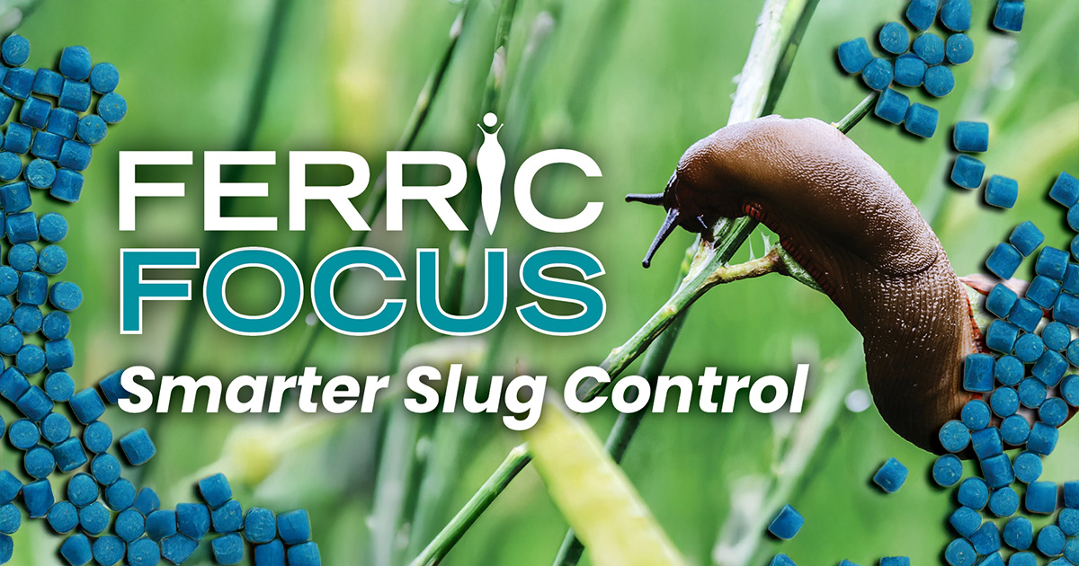 Ferric Focus. Smarter Slug Control Starts Here.